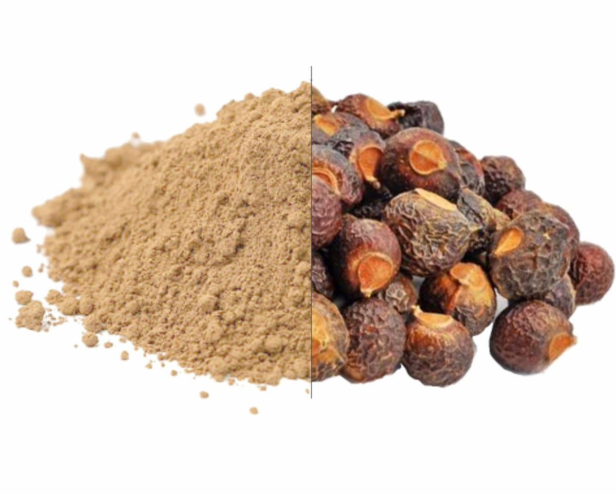 Soapnut Powder
